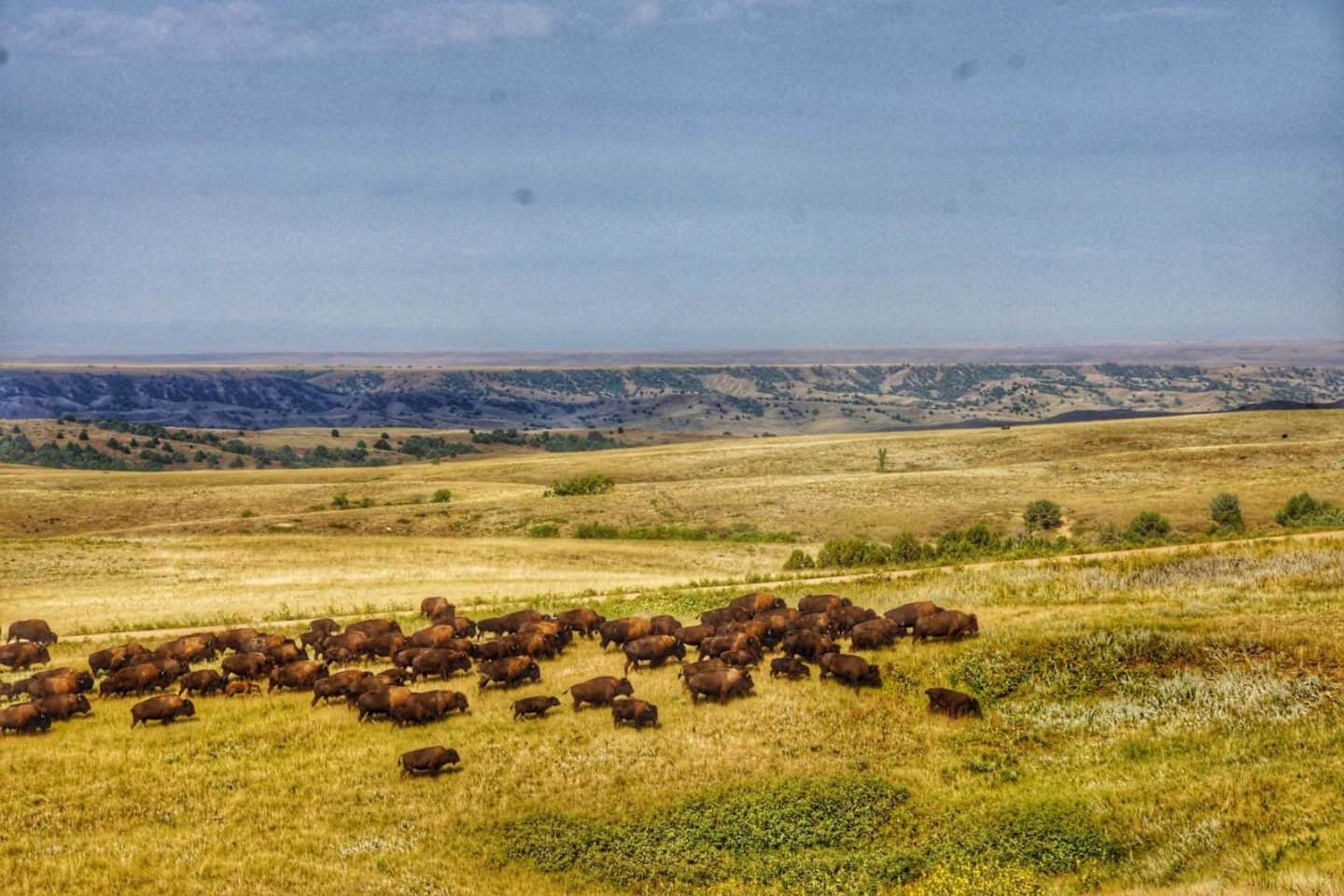 Visiting the Badlands with Kids - Wandermust Family