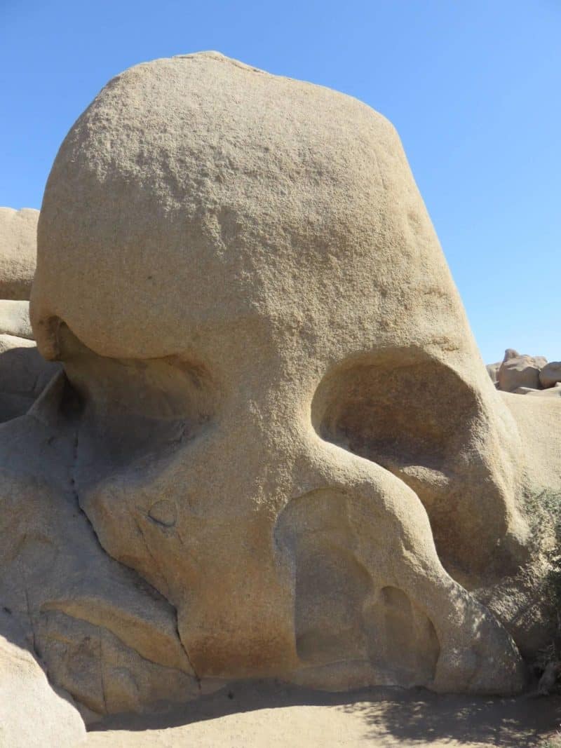 Visiting Joshua Tree National Park with kids - Wandermust Family