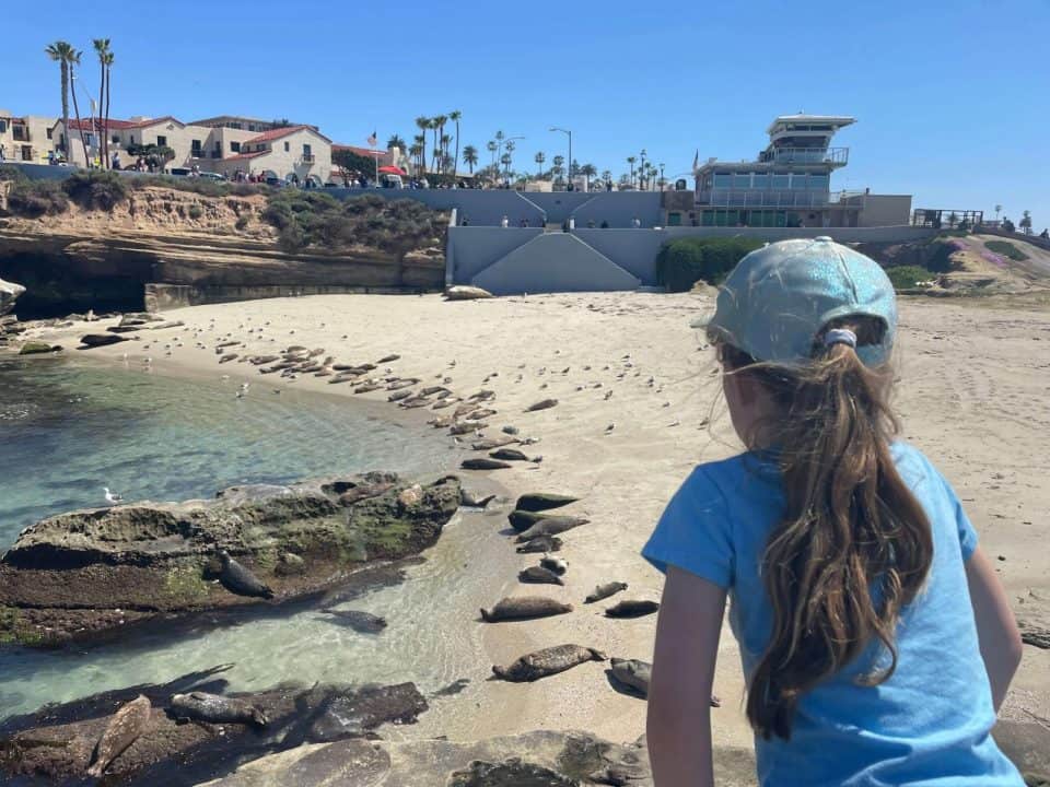 San Diego with toddlers - Wandermust Family