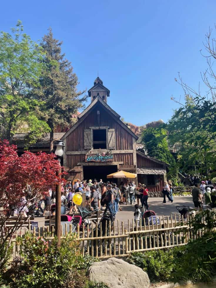ULTIMATE Guide to Disneyland Single Rider Lines - Wandermust Family